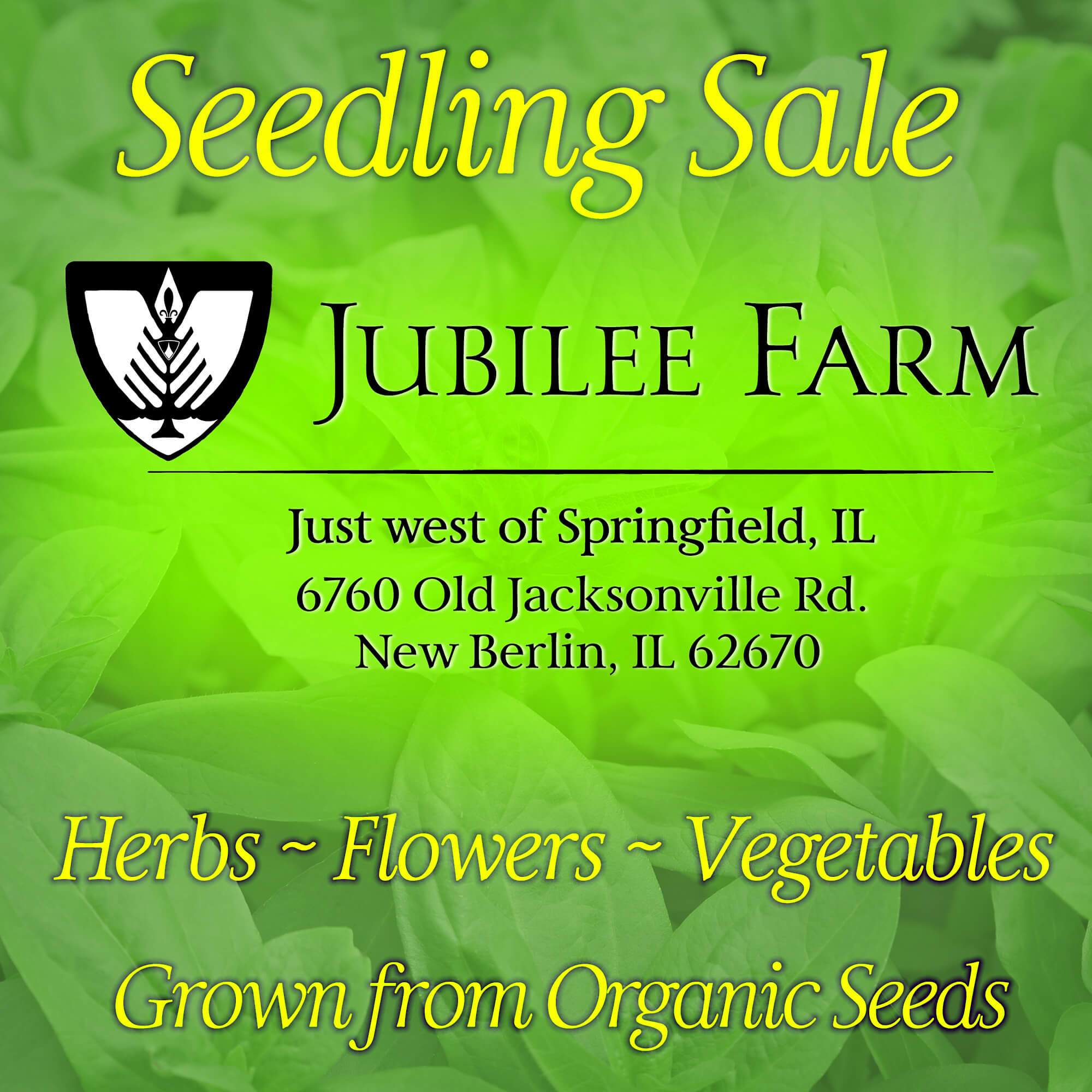 Spring Seedling Sale 2019 at Jubilee Farm – Jubilee Farm